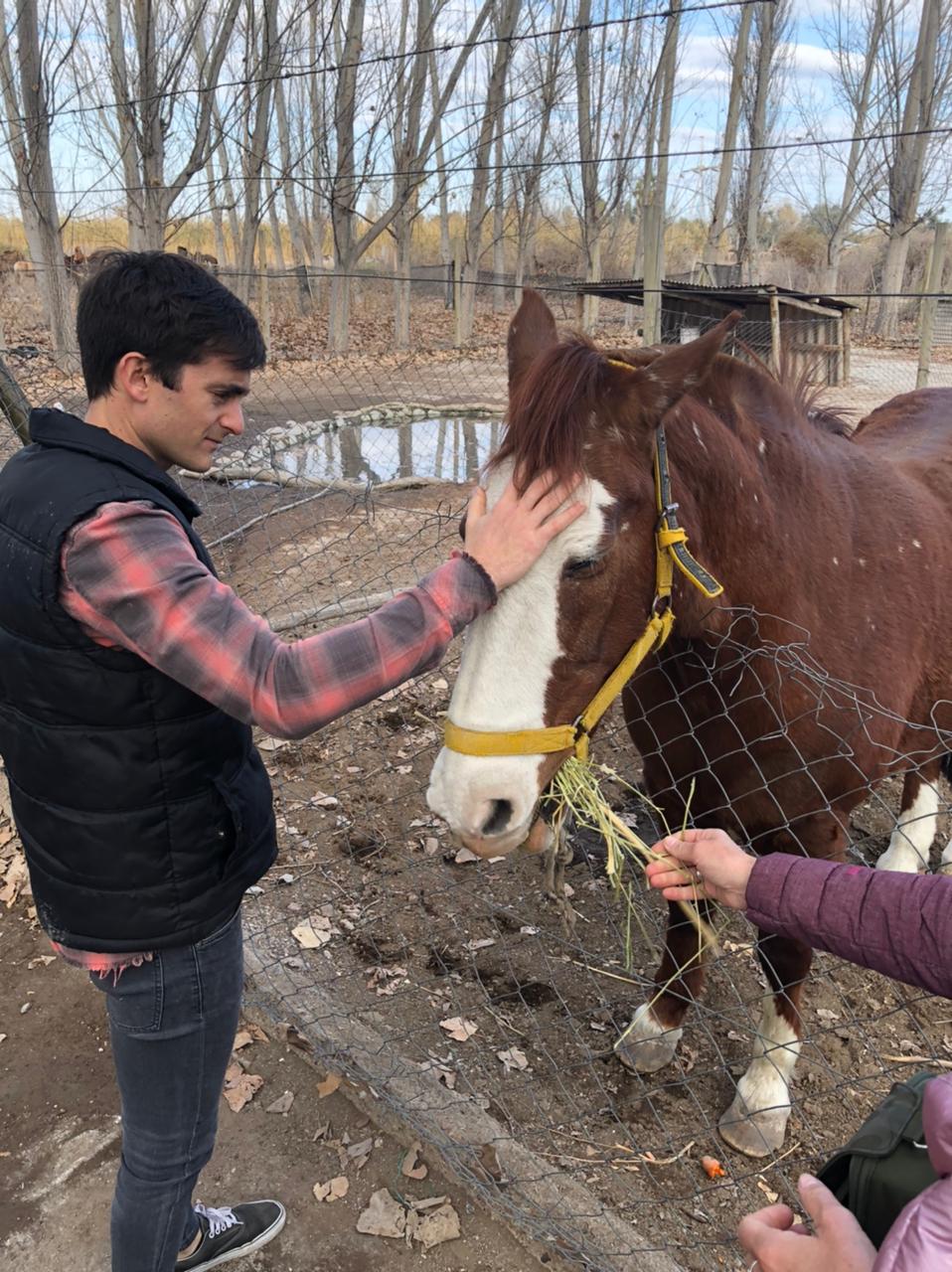 Nuestra granja | Estancia la victoria Restaurante